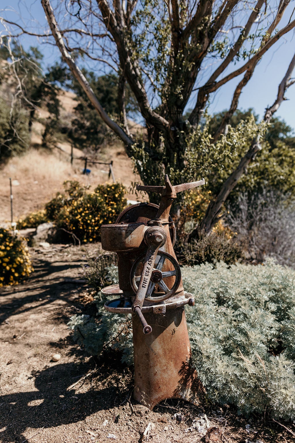 Home | 5 Ez Ranch & Events