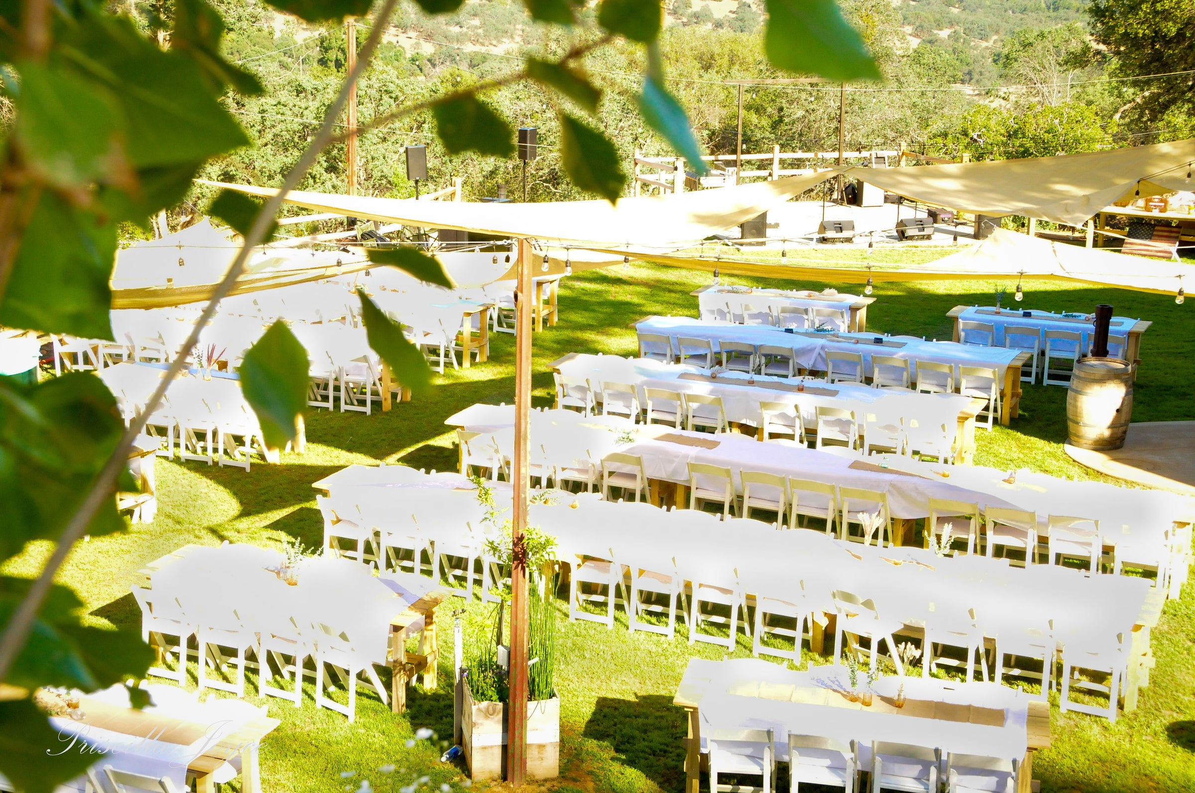 Home | 5 Ez Ranch & Events