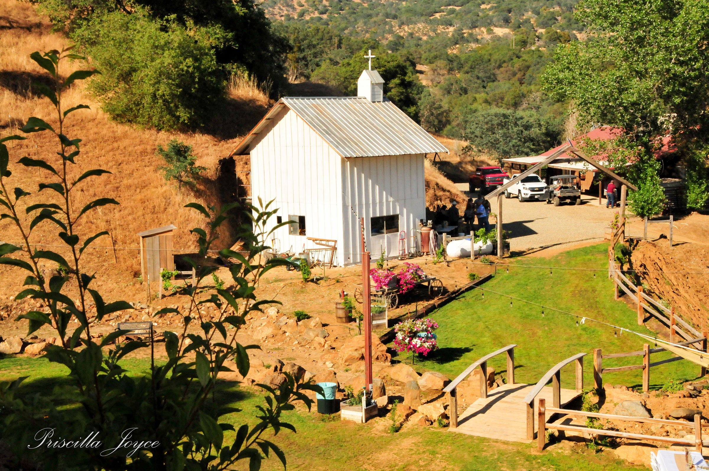 Home | 5 Ez Ranch & Events