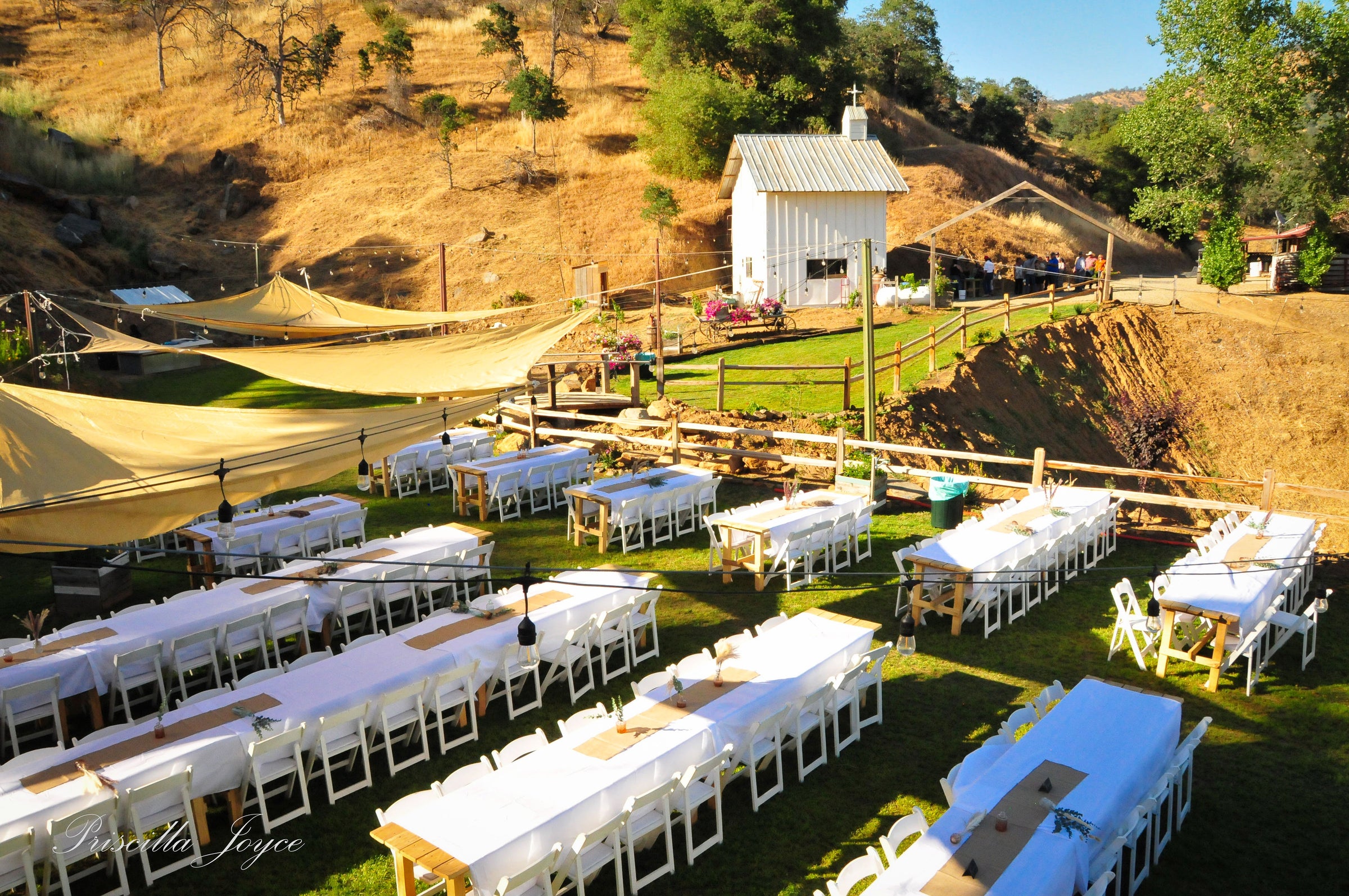 Home | 5 Ez Ranch & Events