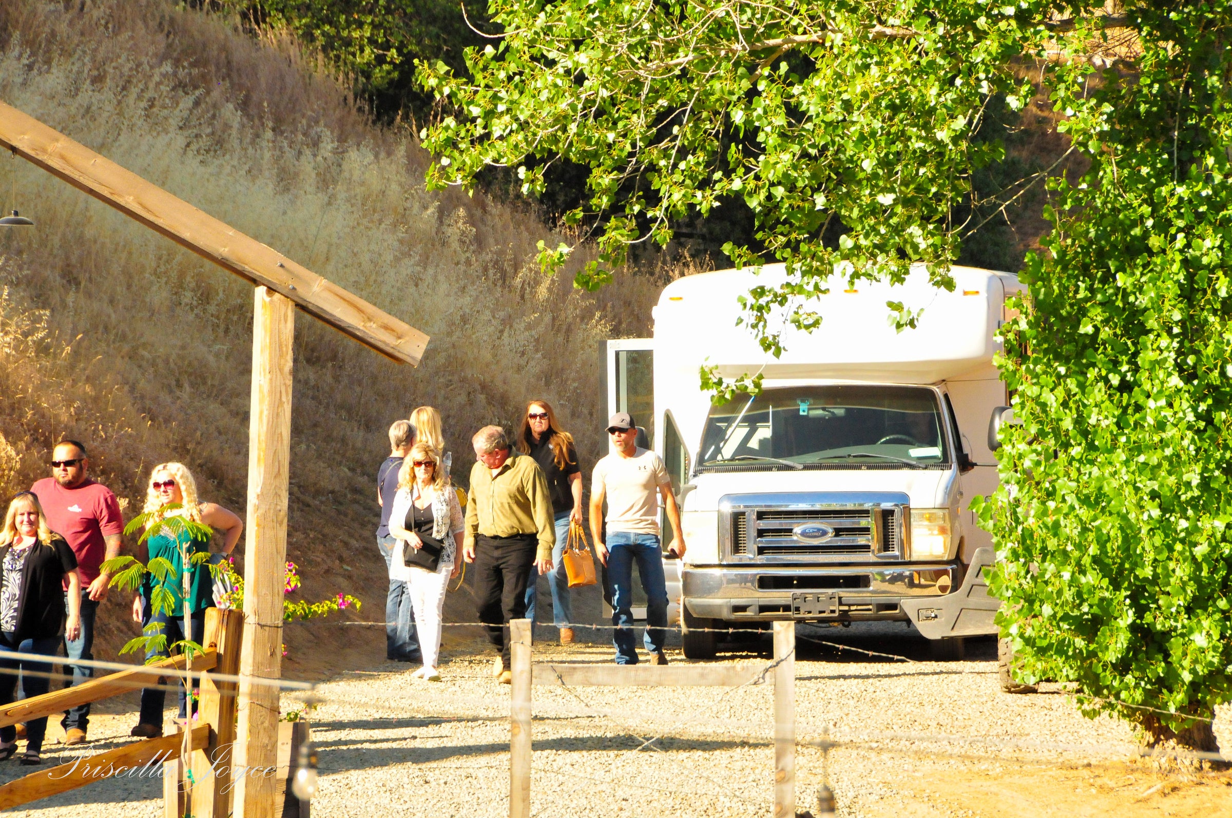 Home | 5 Ez Ranch & Events