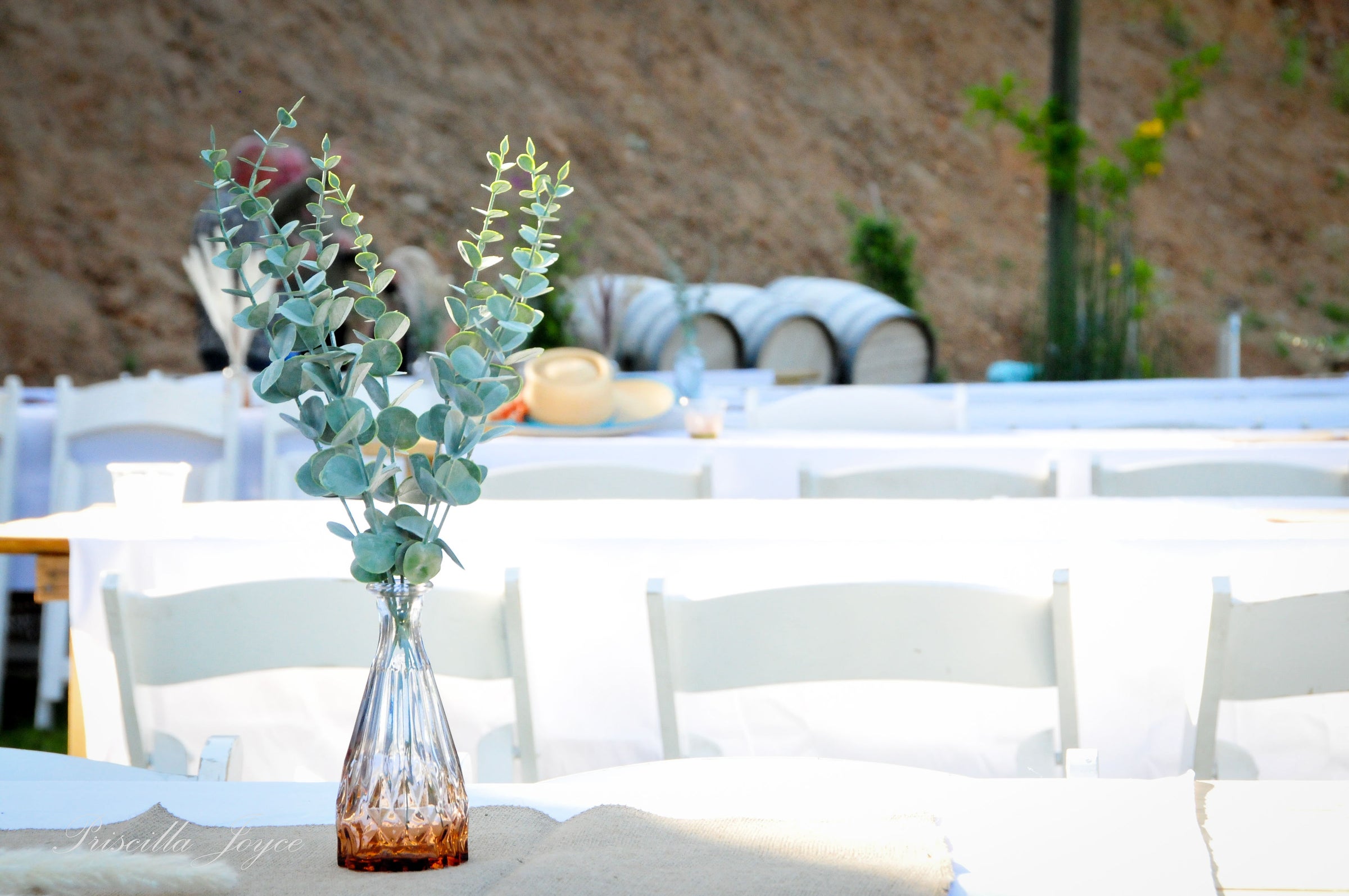 Home | 5 Ez Ranch & Events