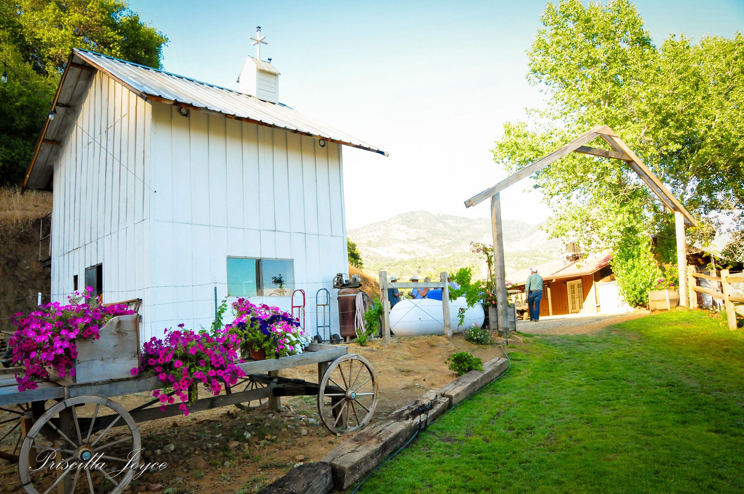 Home | 5 Ez Ranch & Events