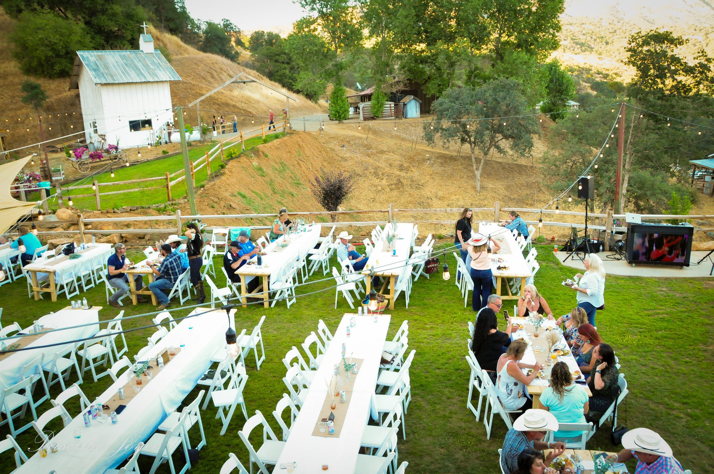 Home | 5 Ez Ranch & Events