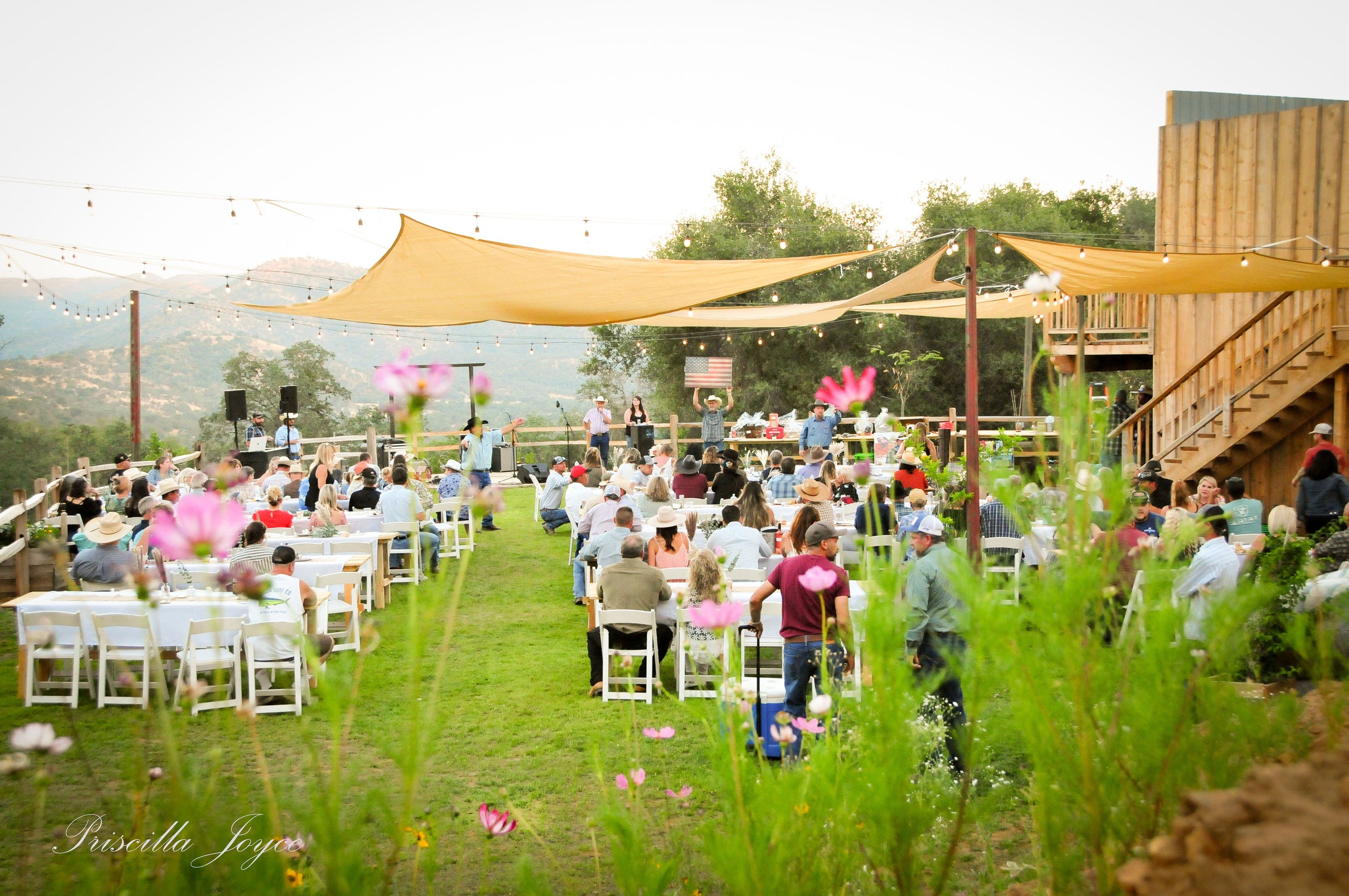 Home | 5 Ez Ranch & Events