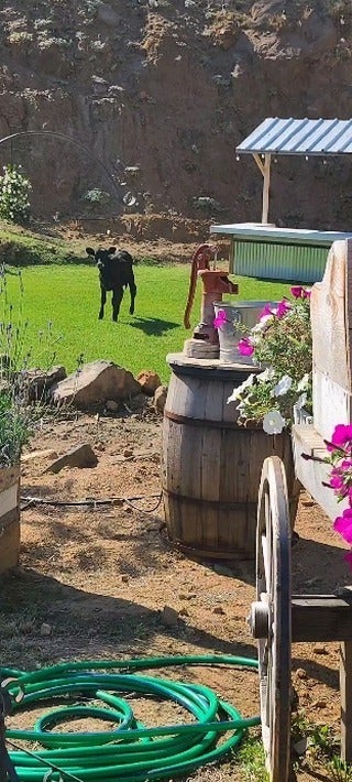 Home | 5 Ez Ranch & Events