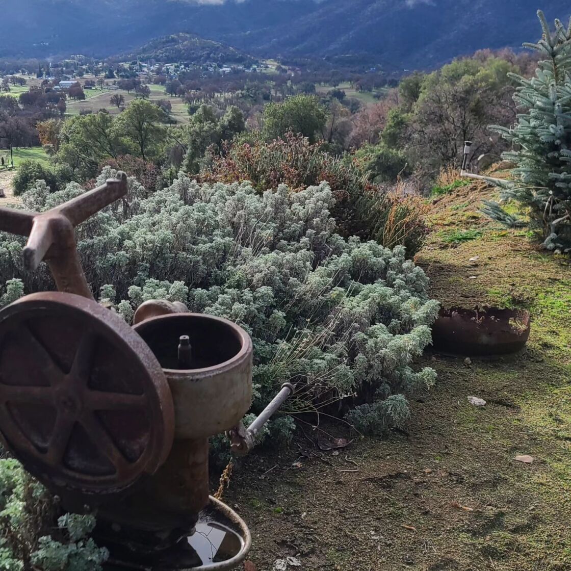 Home | 5 Ez Ranch & Events