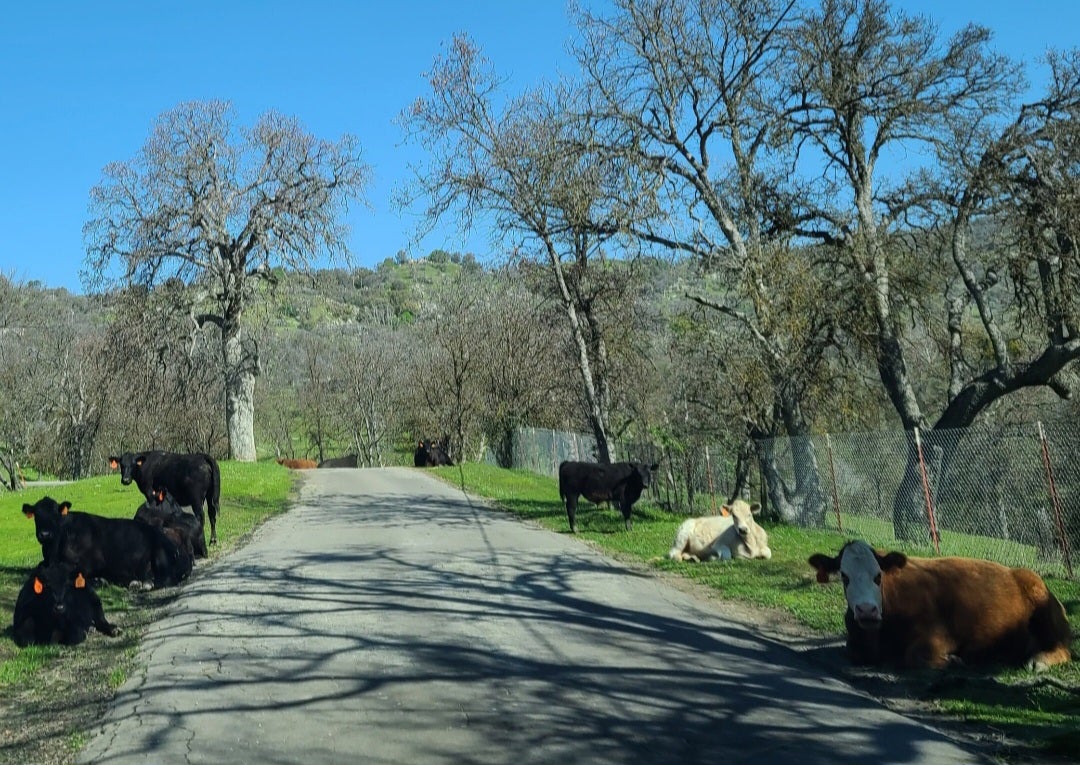 Home | 5 Ez Ranch & Events